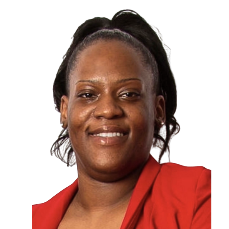 About – Whole Village Counseling, Advocacy, and Mental Health Services, LLC